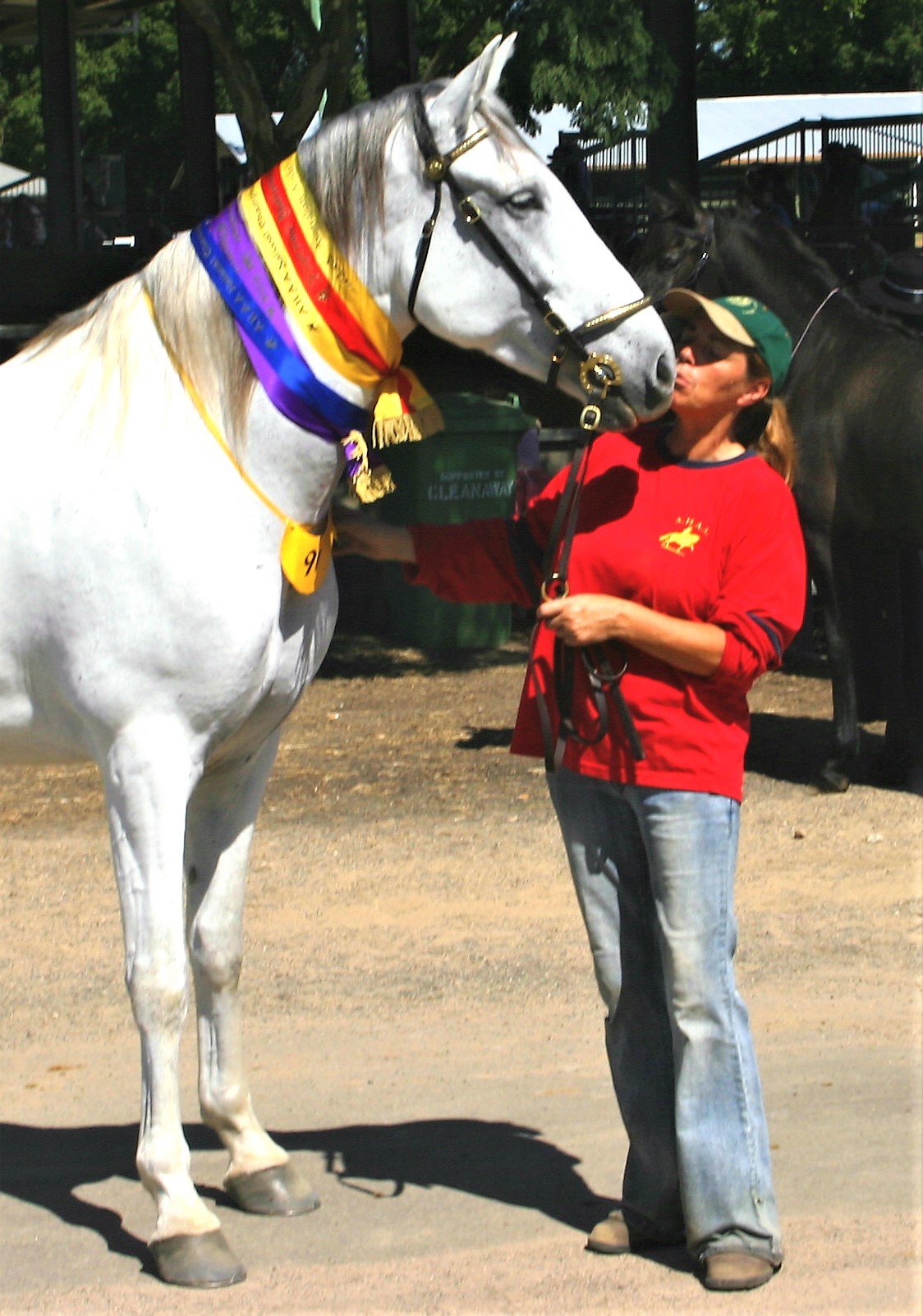 EMRT – Animal Bowtech – Equus College of Learning & Research